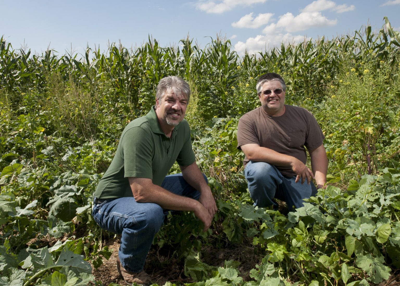 Green Cover - Boost Your Farm's Resiliency with Cover Crops